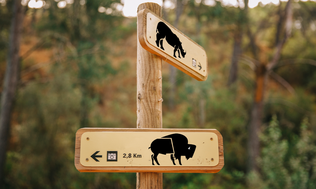 Pictogram – Visual Communication